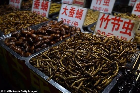 Famous Chinese Insect Street Food Reopens – Weird World Wire